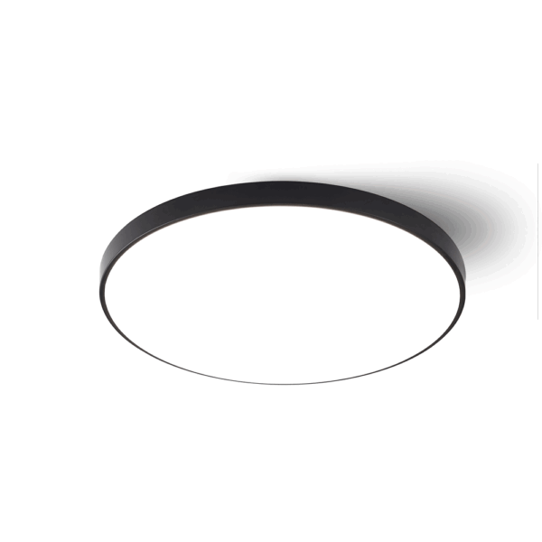 Surface Mounted Ceiling Light - Echo Rich