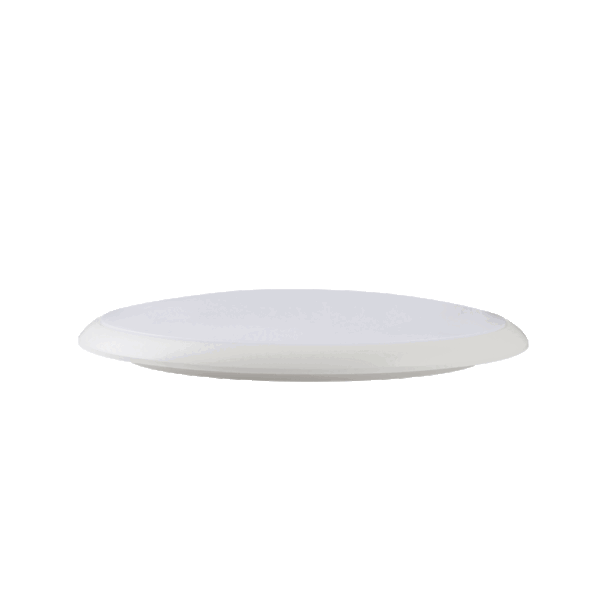 Surface Mounted Ceiling Light - Echo Rich