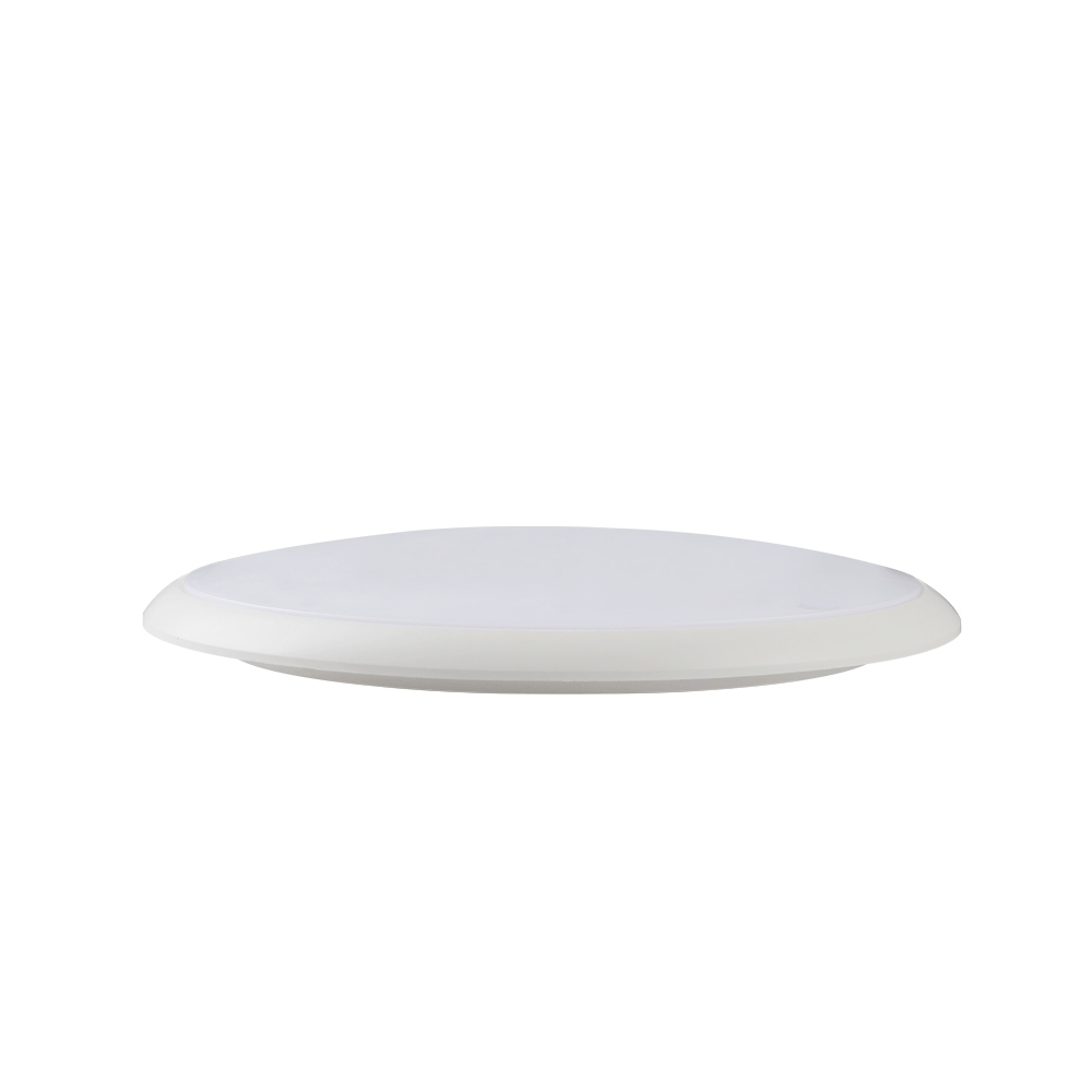 Surface Mounted Ceiling Light - Echo Rich