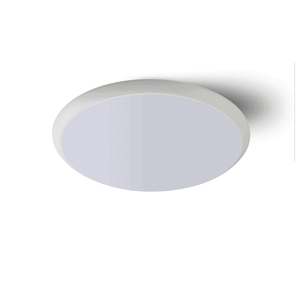 Surface Mounted Ceiling Light - Echo Rich