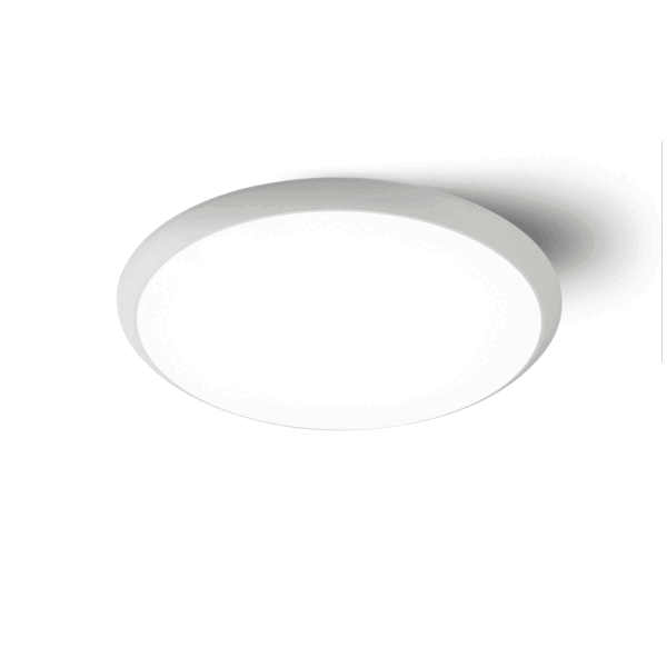 Surface Mounted Ceiling Light - Echo Rich