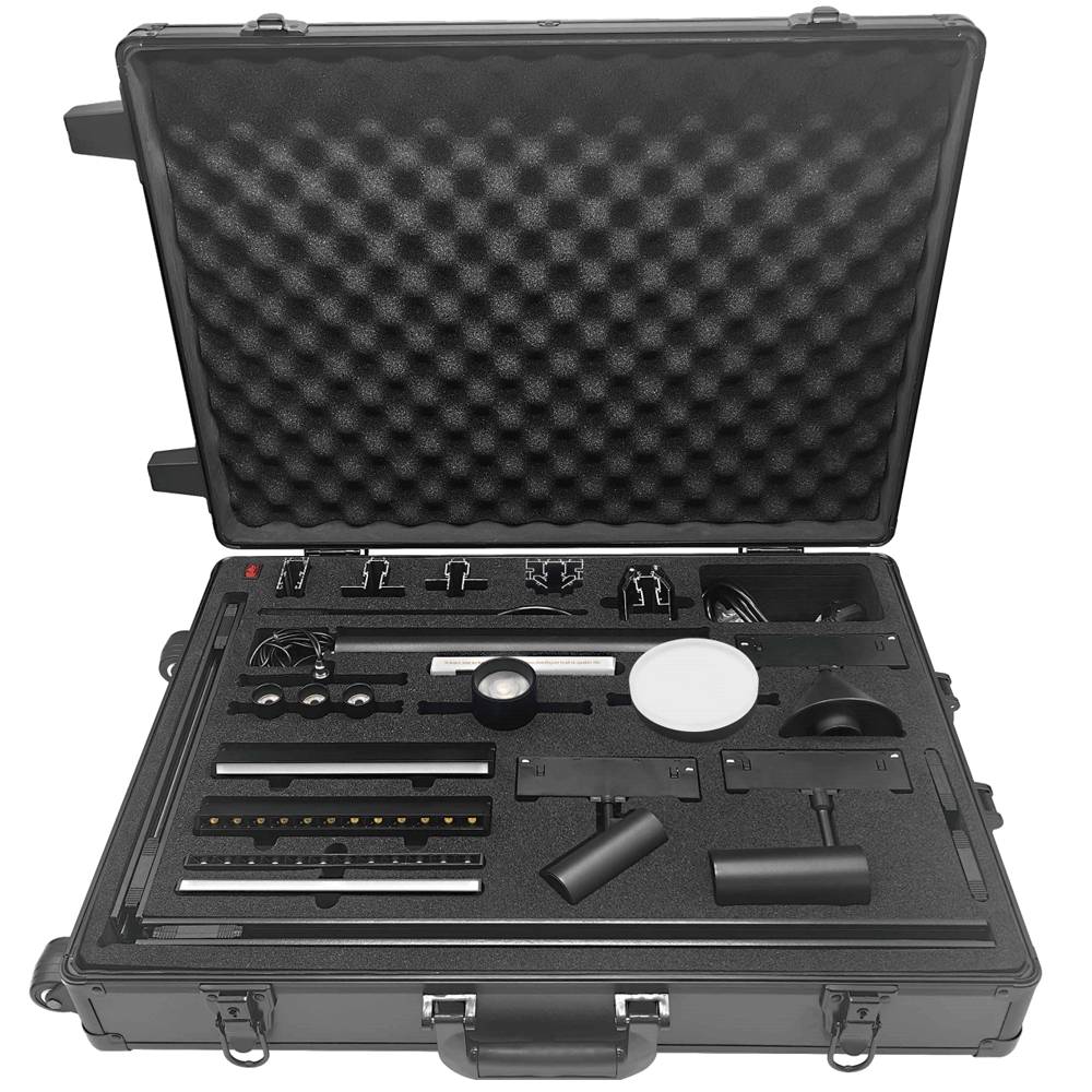 10 Series Magnetic Light Echo Rich